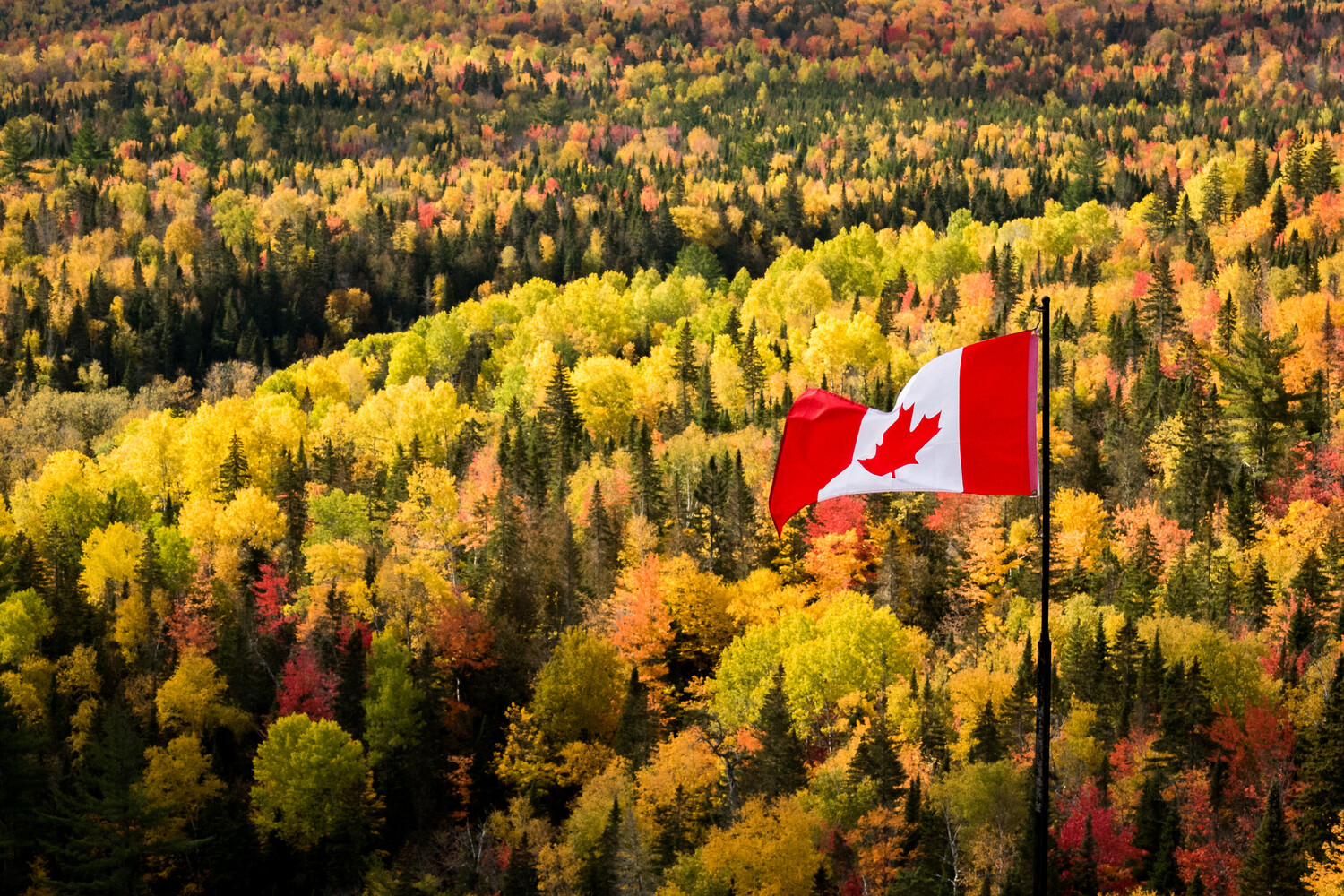 6 experiences to embrace your inner child in the Chaleur Region this ...